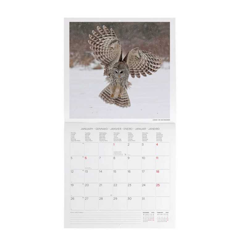 CALENDARIO DA PARETE 2026 legami OUTSTANDING OWLS gufi 30 X 29 CM grande