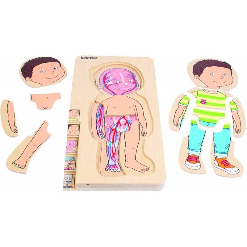 PUZZLE IN LEGNO 5 livelli CORPO UMANO età 4+ BAMBINO Beleduc