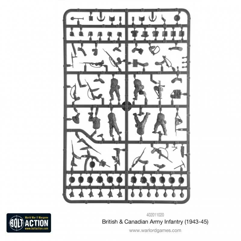 BRITISH & CANADIAN ARMY INFANTRY 1943-45 ww2 commonwealth infantry BOLT ...